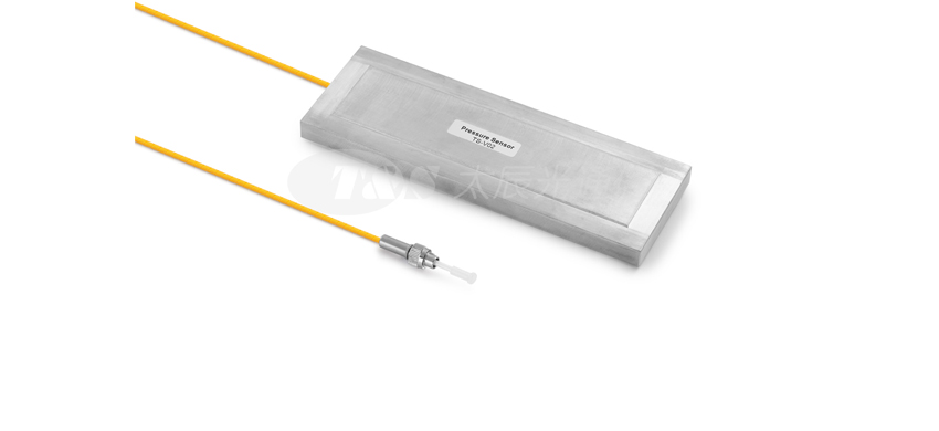 Fiber Bragg Grating (FBG) Strain Sensor, Sensor FBG Supplier | T&S ...
