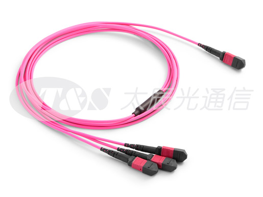 MTP/MPO Shuffle Cable, Fiber Shuffle Cable Customization | TS Communication