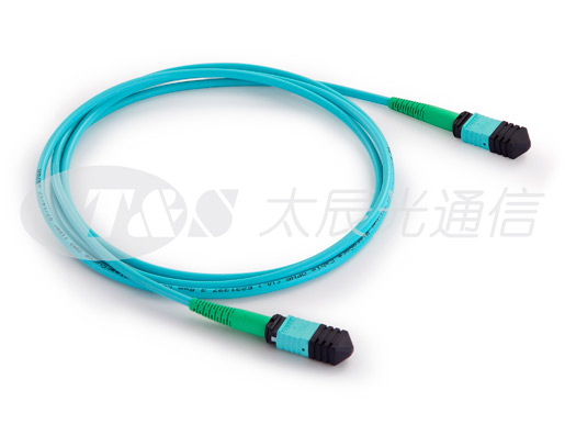 MTP/MPO Trunk Cable, Fiber Optic Trunk Cable/Cabling Supplier | T&S ...